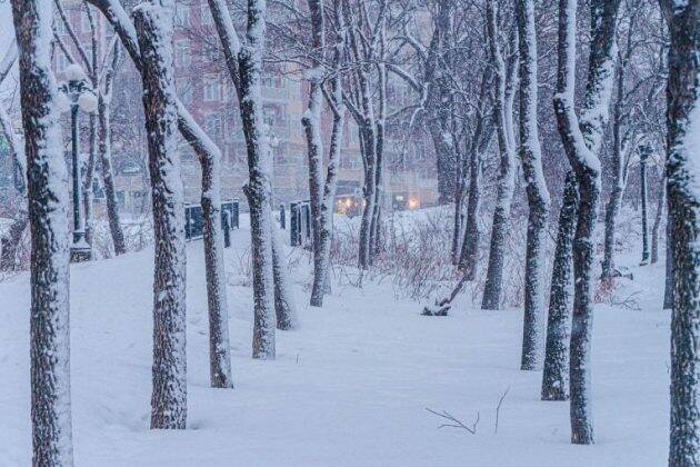 O que fazer em Winnipeg no inverno e frio do Canadá
