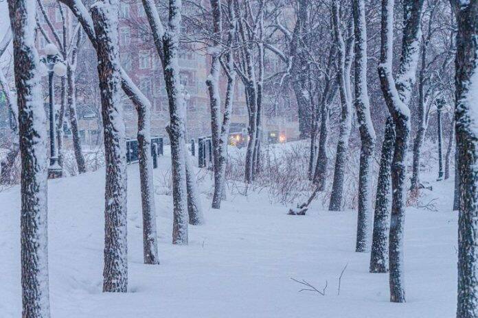 O que fazer em Winnipeg no inverno e frio do Canadá